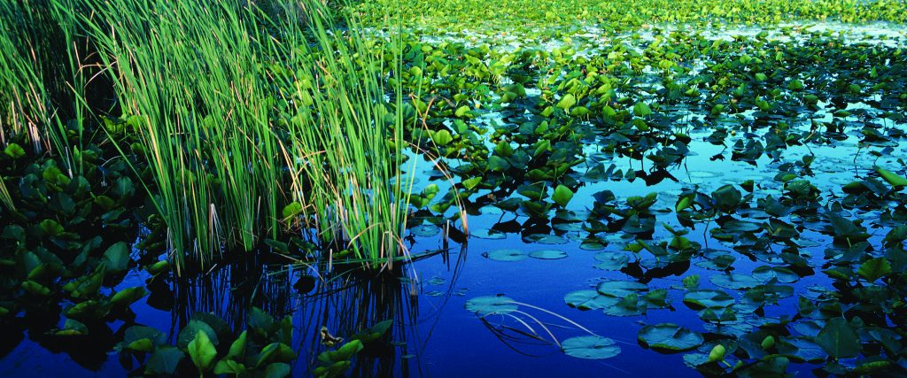 American Engineering - North Carolina & Virginia